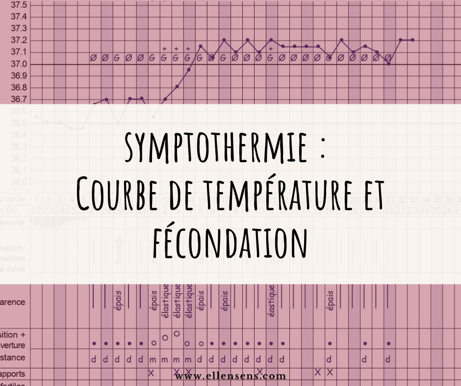 Symptothermie : Courbe de température et fécondation - Elle en Sens